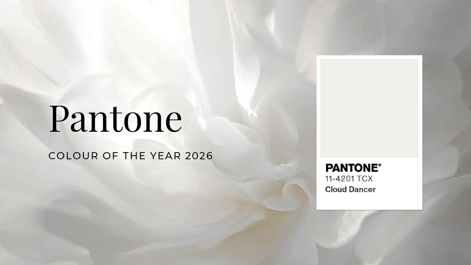 Pantone Colour of the Year 2026 | Cloud Dancer - Stylish Club